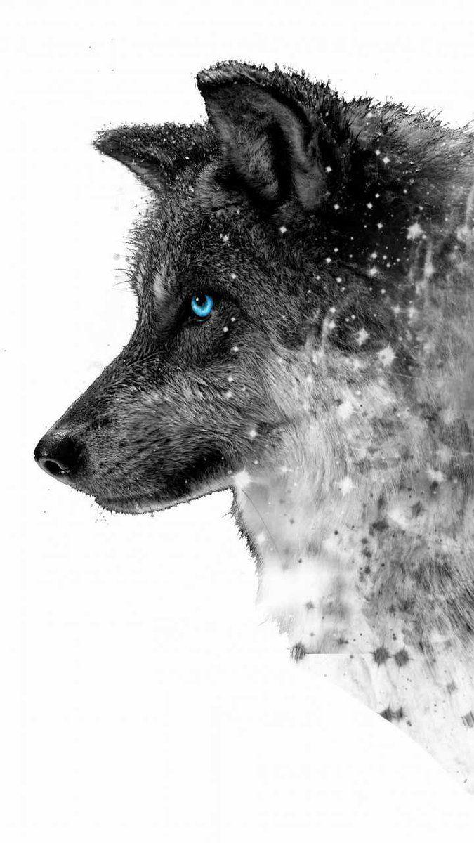 Blue Wolf Eye Wallpapers - Top Free Blue Wolf Eye Backgrounds ...