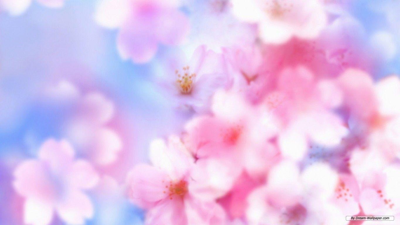 Pastel Spring Flowers Wallpapers - Top Free Pastel Spring Flowers ...