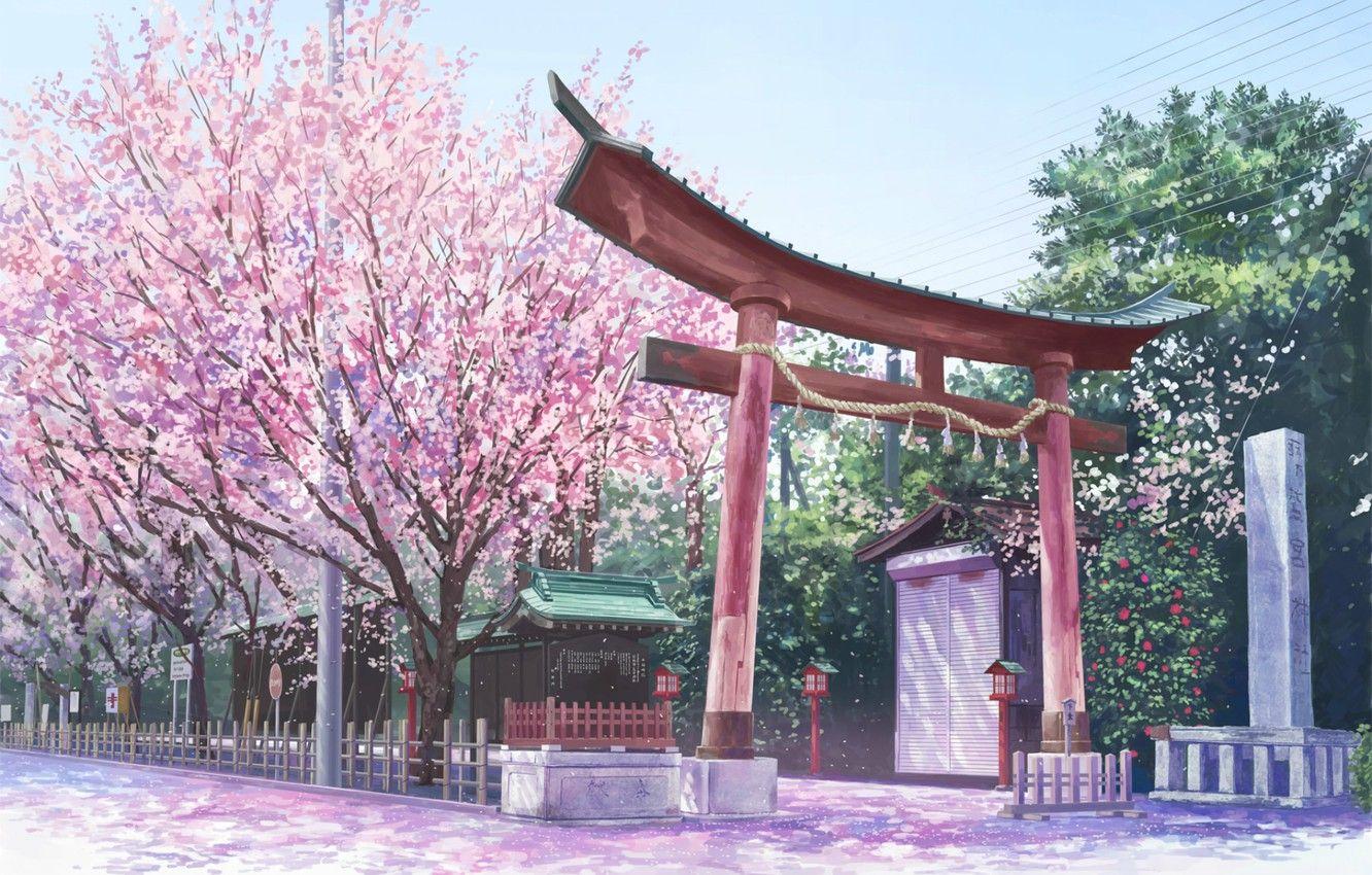 Shinto Shrine Wallpapers - Top Free Shinto Shrine Backgrounds ...