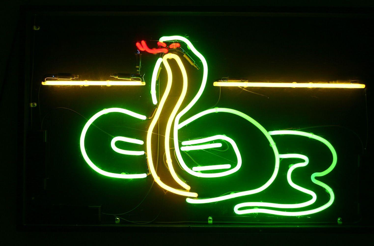 Neon Snake Wallpapers - Top Free Neon Snake Backgrounds - WallpaperAccess