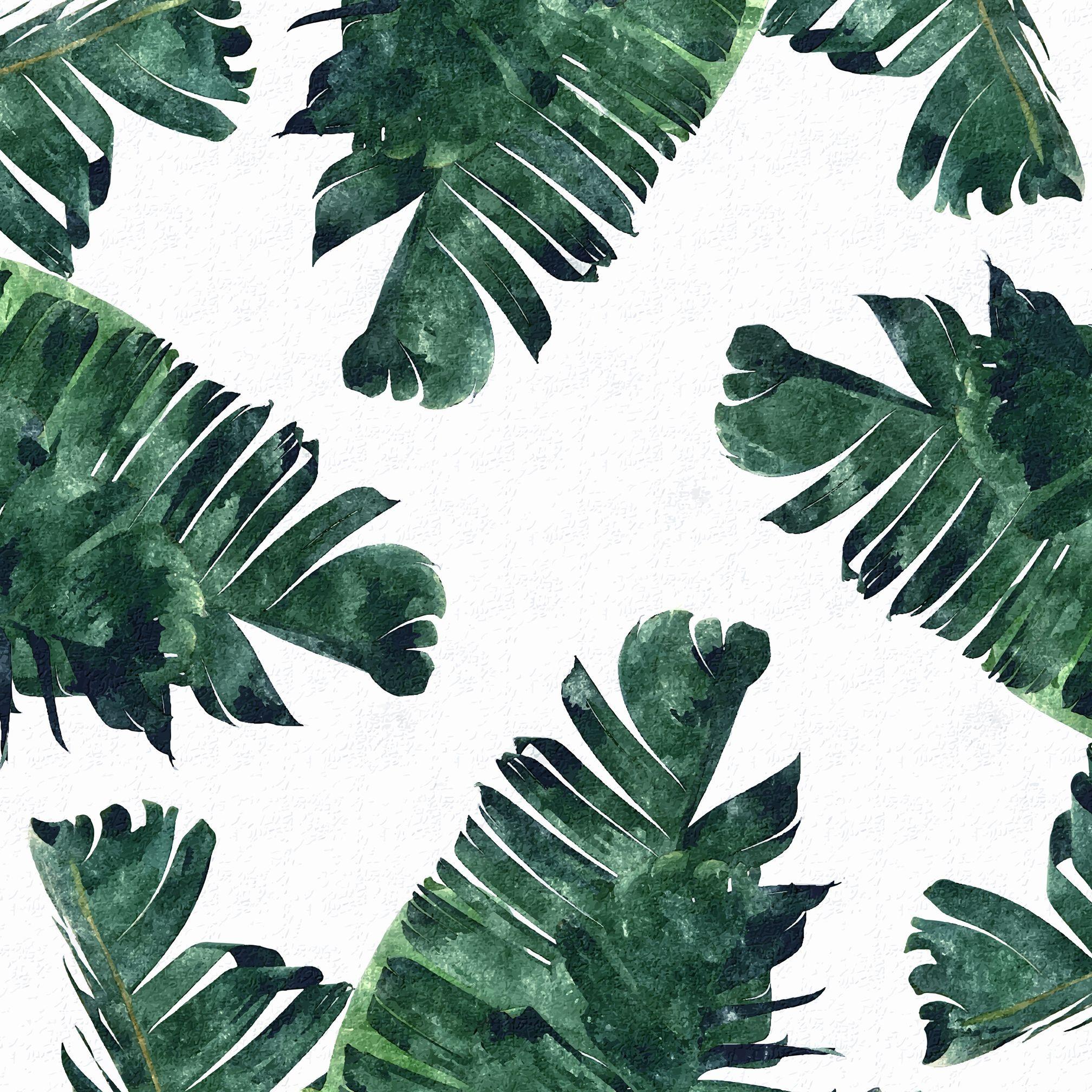 Watercolor Leaf Wallpapers - Top Free Watercolor Leaf Backgrounds ...
