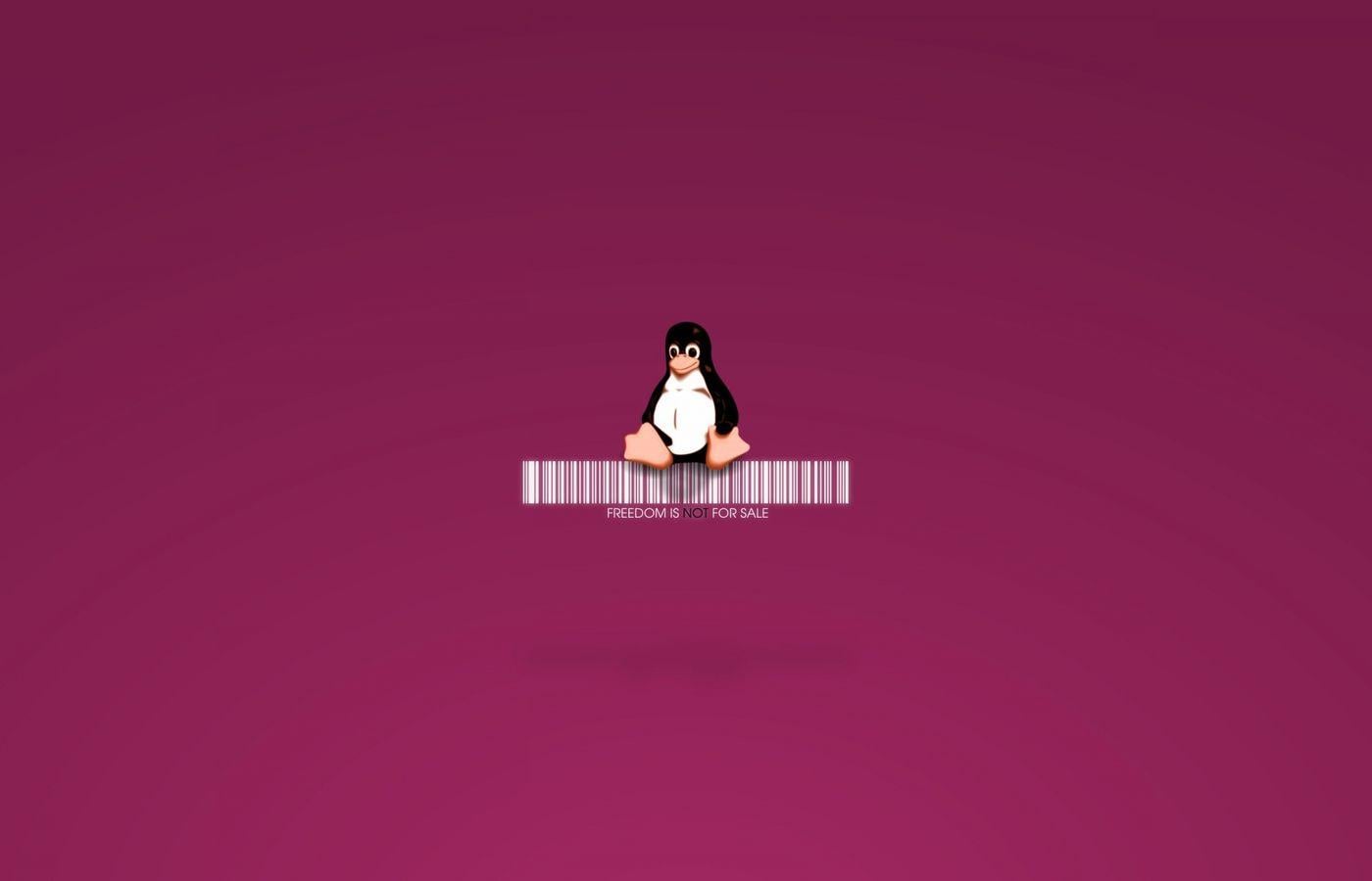Linux Penguin Wallpapers - Top Free Linux Penguin Backgrounds ...