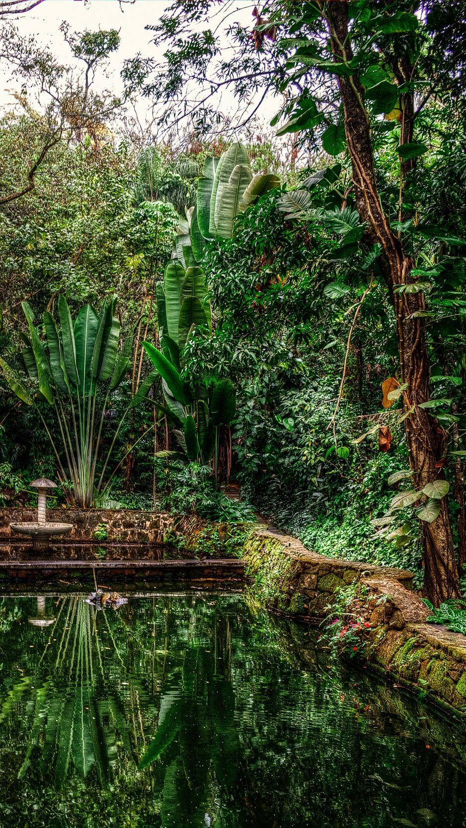 HD Rainforest Wallpapers - Top Free HD Rainforest Backgrounds ...