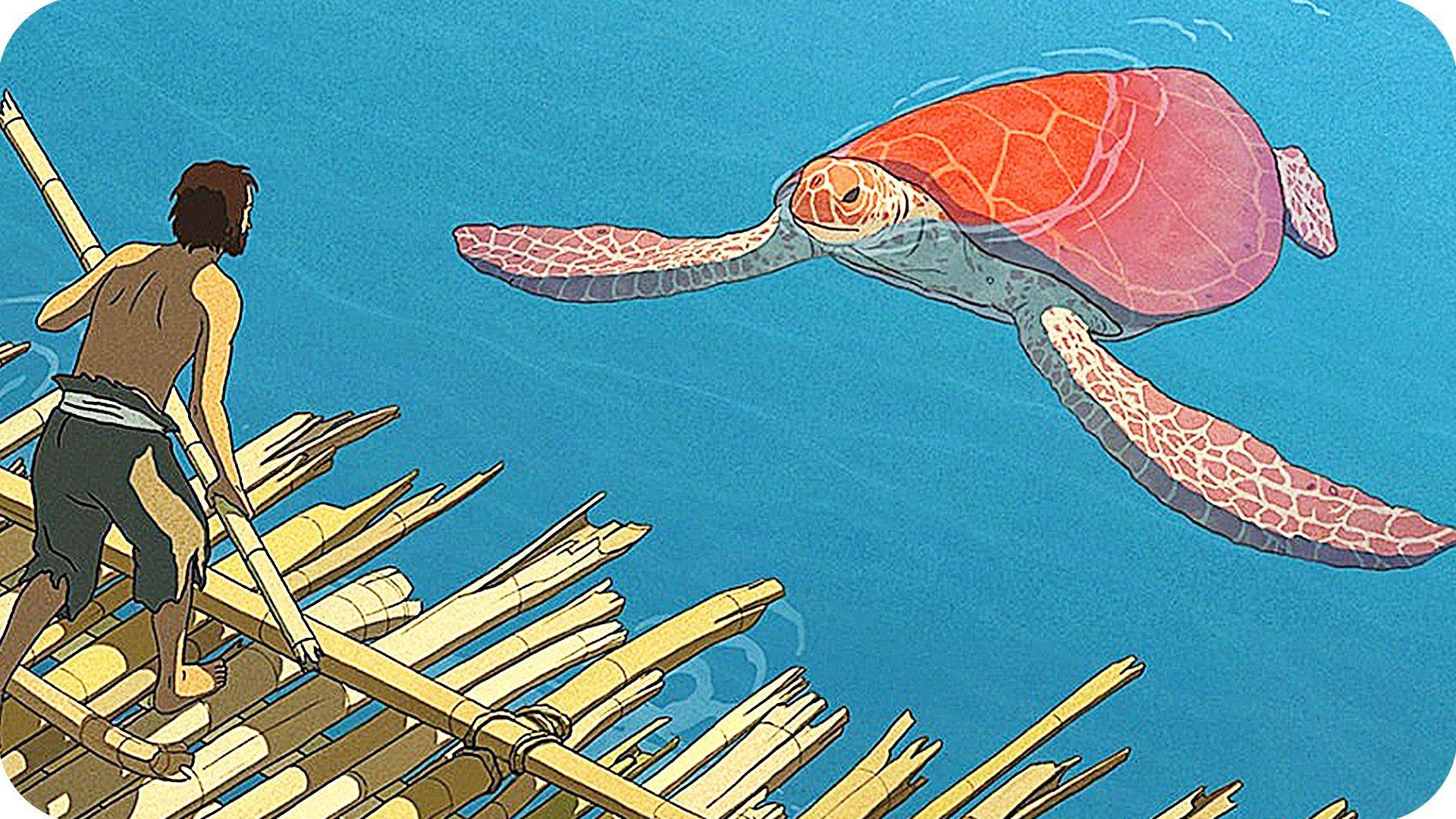 The Red Turtle Wallpapers Top Free The Red Turtle Backgrounds