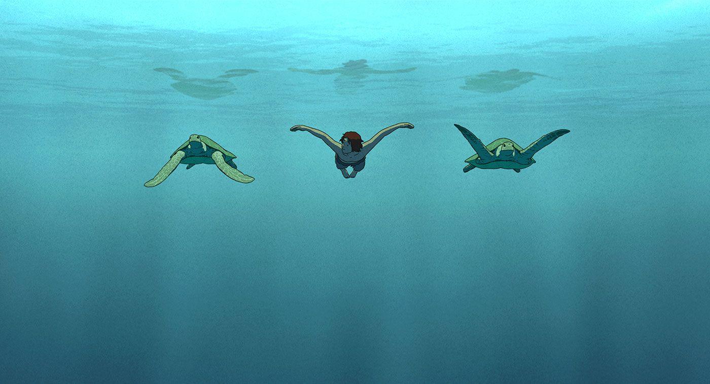 The Red Turtle Wallpapers - Top Free The Red Turtle Backgrounds ...