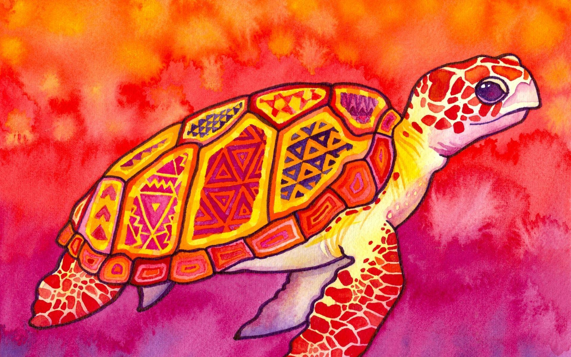Red Turtle Wallpapers - Top Free Red Turtle Backgrounds - WallpaperAccess