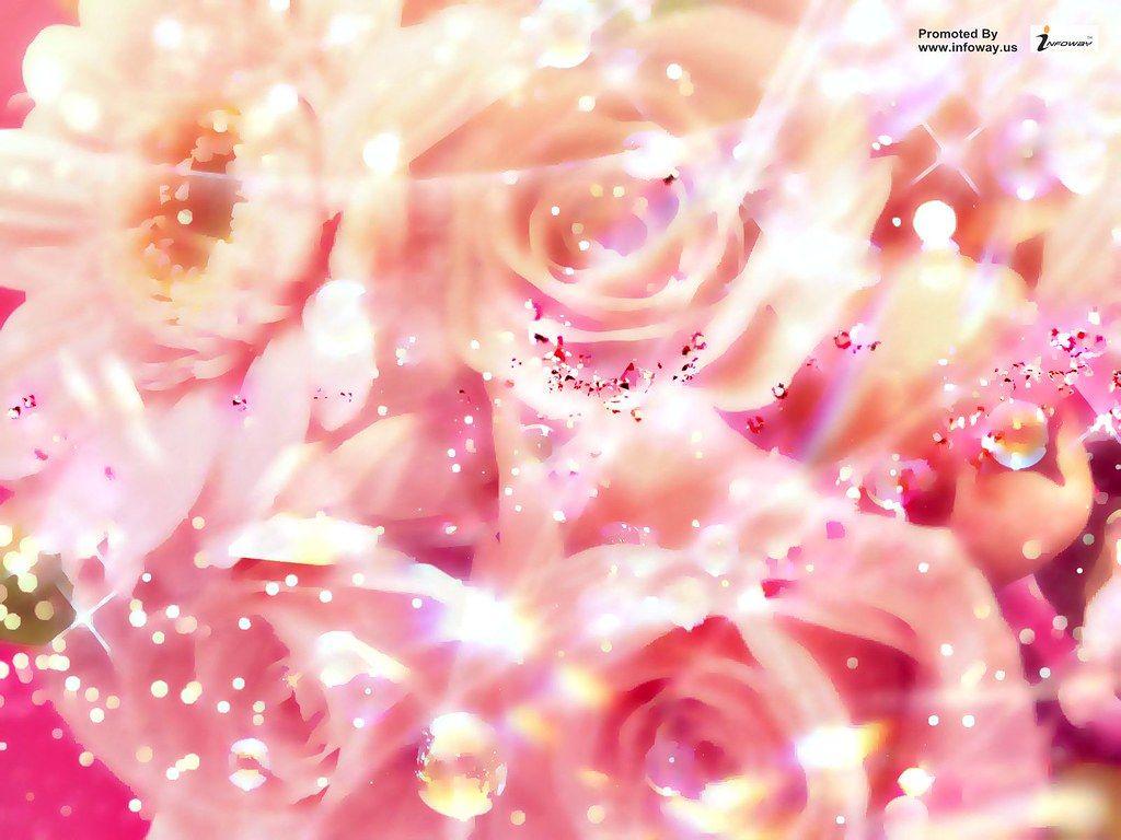 Peach Roses Wallpapers - Top Free Peach Roses Backgrounds - WallpaperAccess