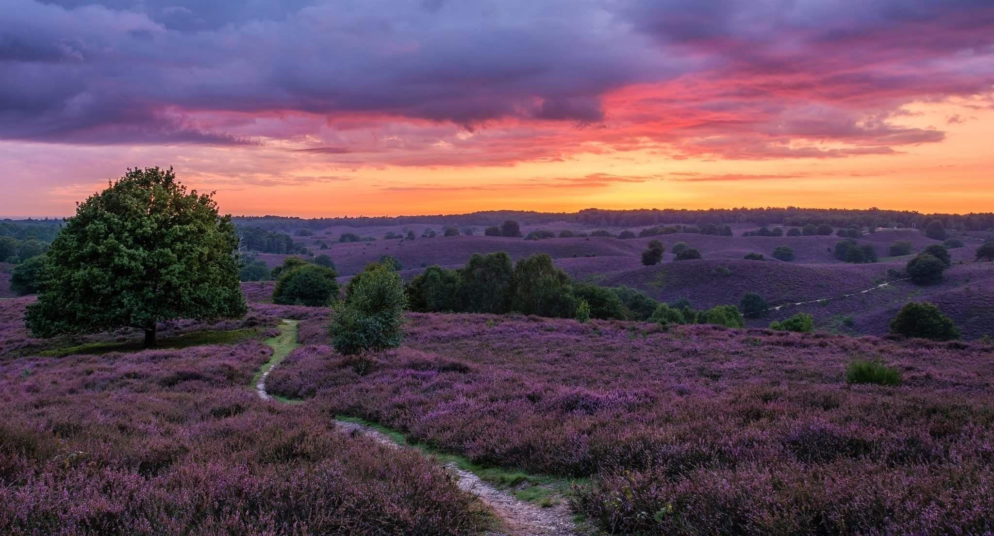 Hopewell Scenery Wallpapers - Top Free Hopewell Scenery Backgrounds ...