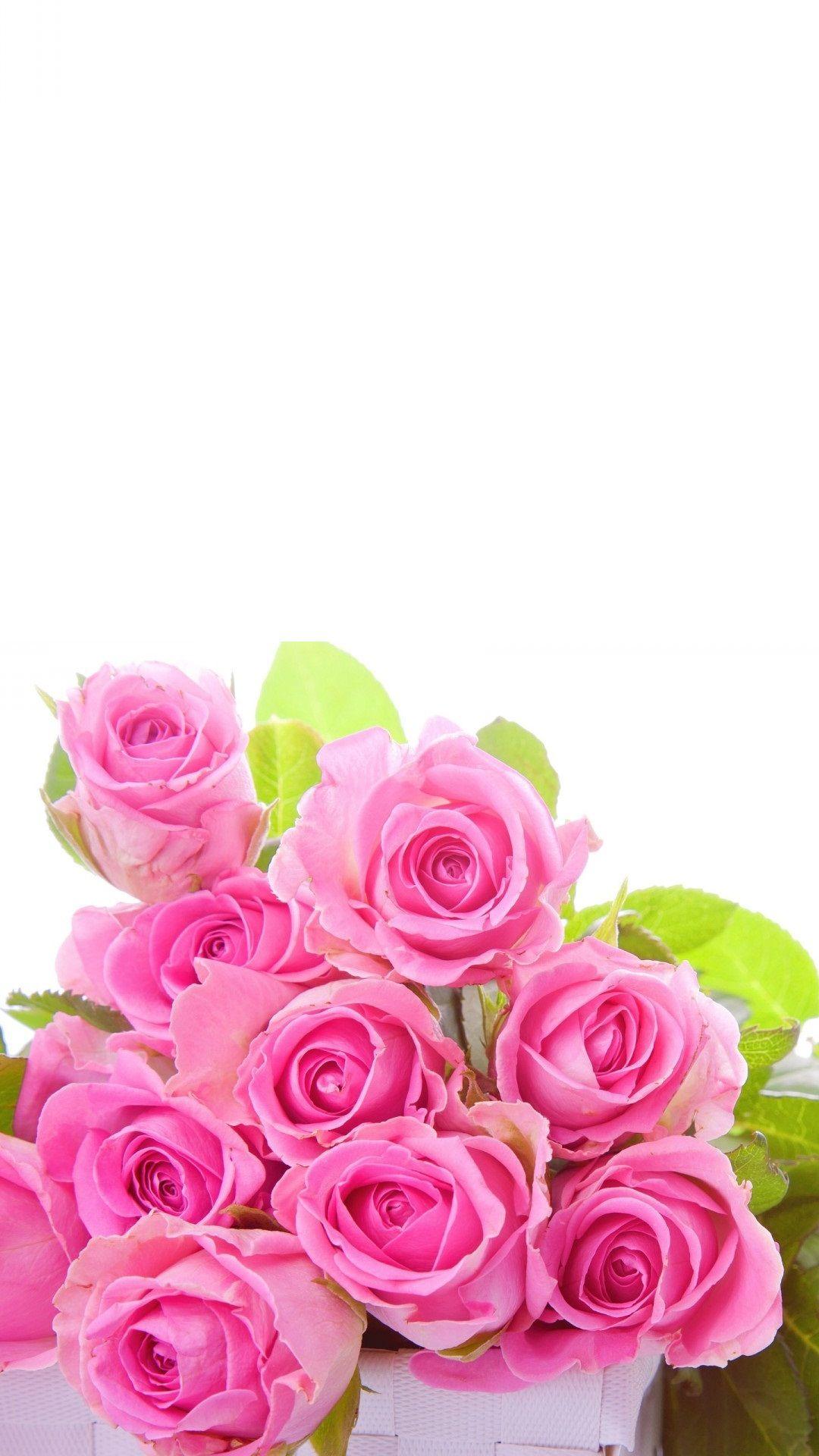 Pink Rose iPhone Wallpapers - Top Free Pink Rose iPhone Backgrounds ...