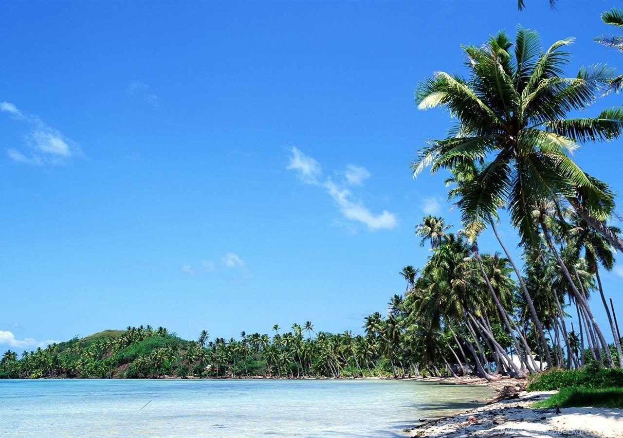 Cute Coconut Wallpapers - Top Free Cute Coconut Backgrounds ...