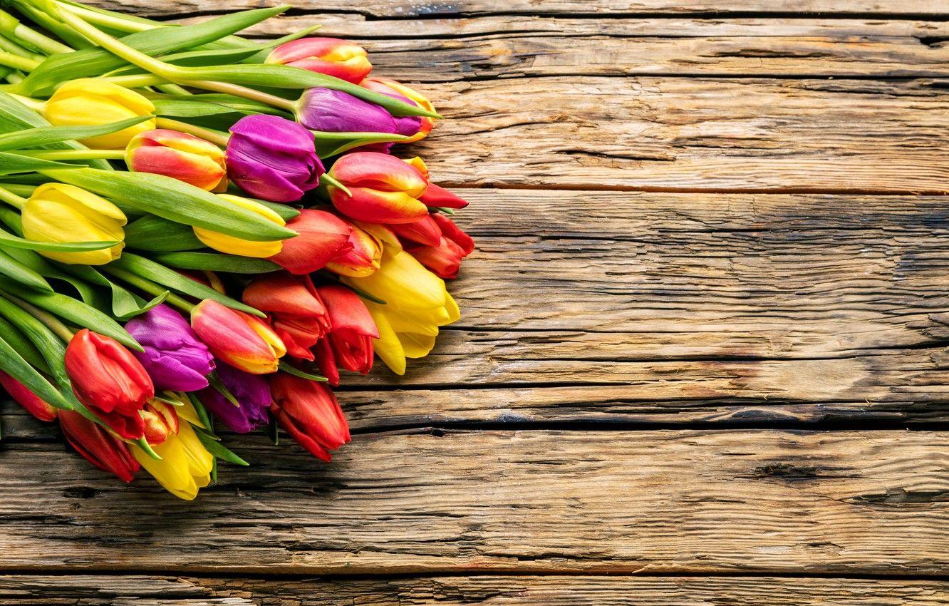 Bright Spring Desktop Wallpapers - Top Free Bright Spring Desktop ...