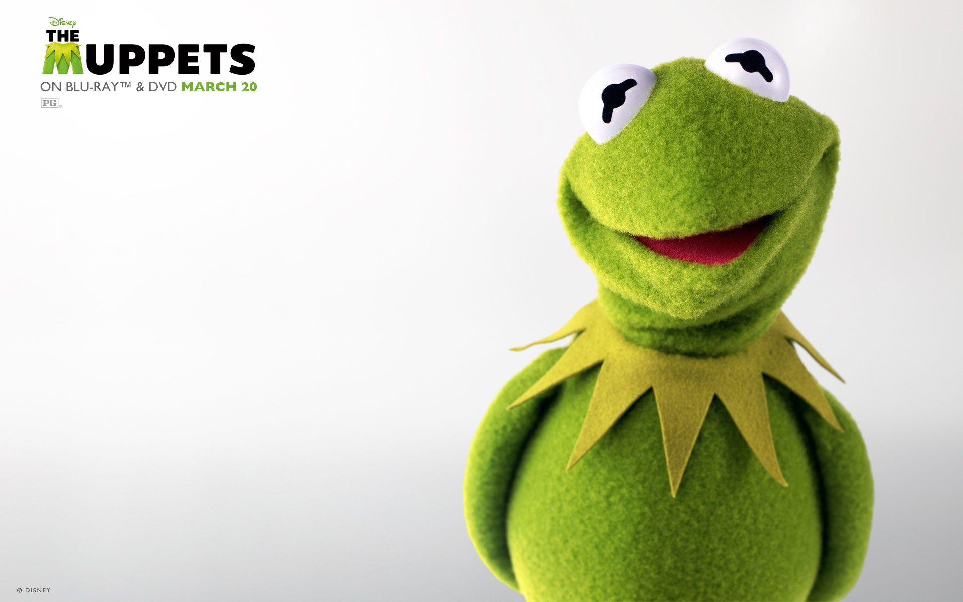Kermit Meme Wallpapers - Top Free Kermit Meme Backgrounds - WallpaperAccess
