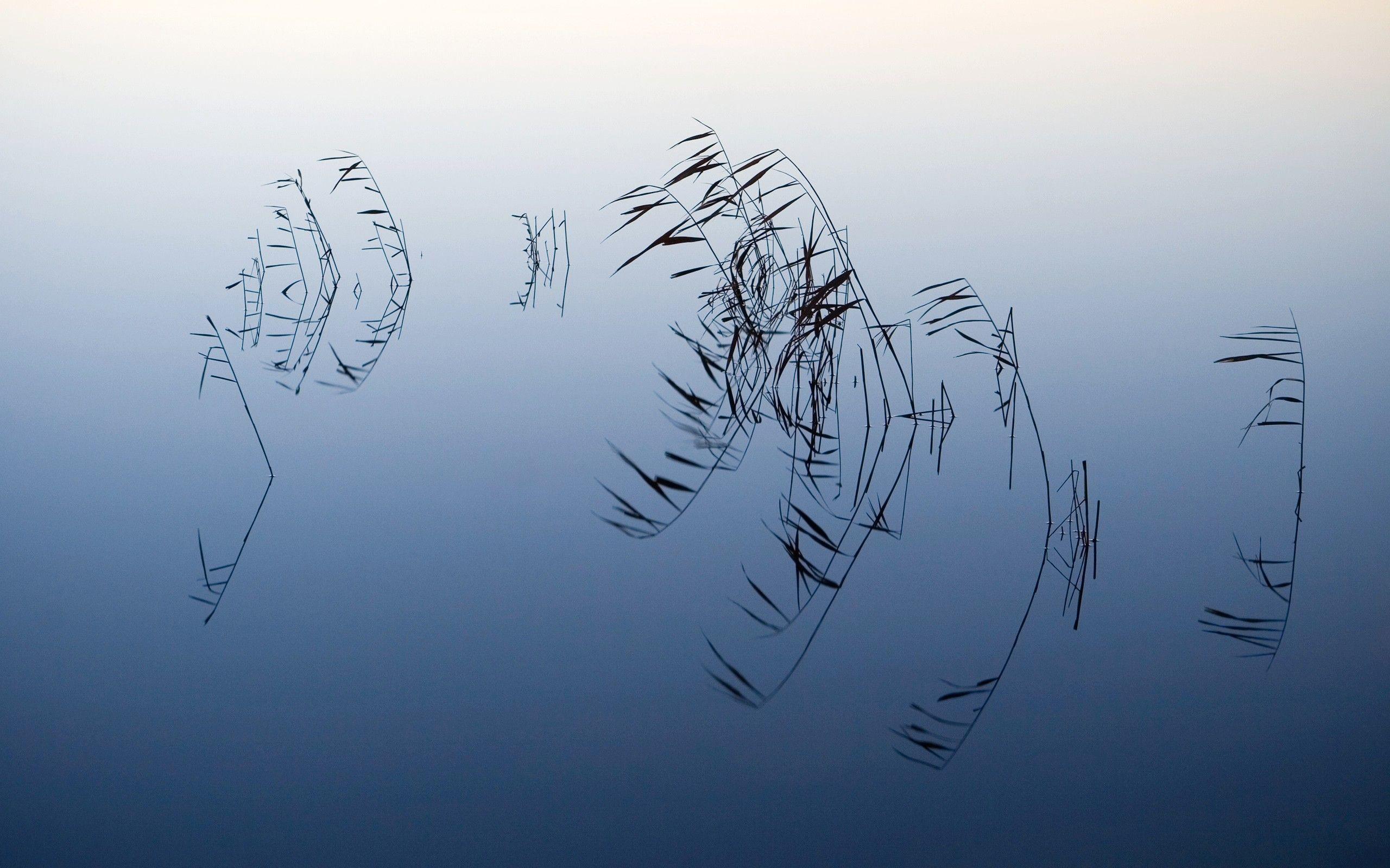 Calming Zen Wallpapers - Top Free Calming Zen Backgrounds - WallpaperAccess