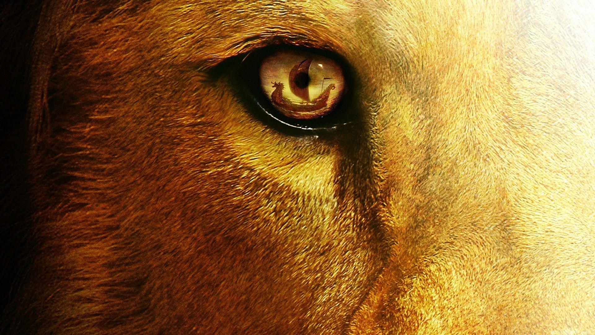 Narnia Desktop Wallpapers - Top Free Narnia Desktop Backgrounds ...