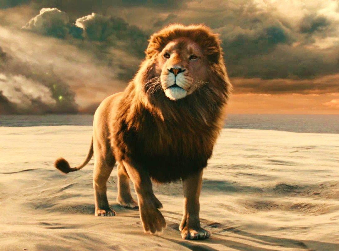 Narnia Desktop Wallpapers - Top Free Narnia Desktop Backgrounds ...