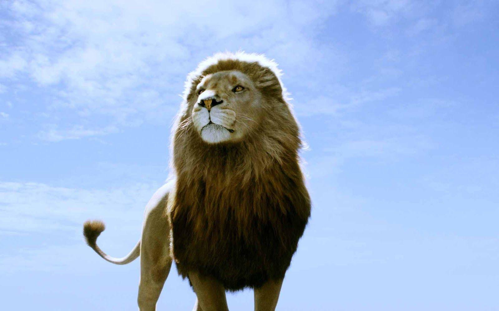 Narnia Desktop Wallpapers - Top Free Narnia Desktop Backgrounds ...