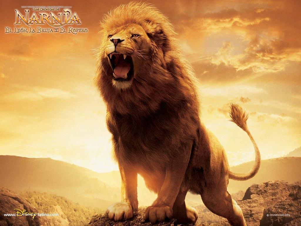 Narnia Desktop Wallpapers - Top Free Narnia Desktop Backgrounds ...