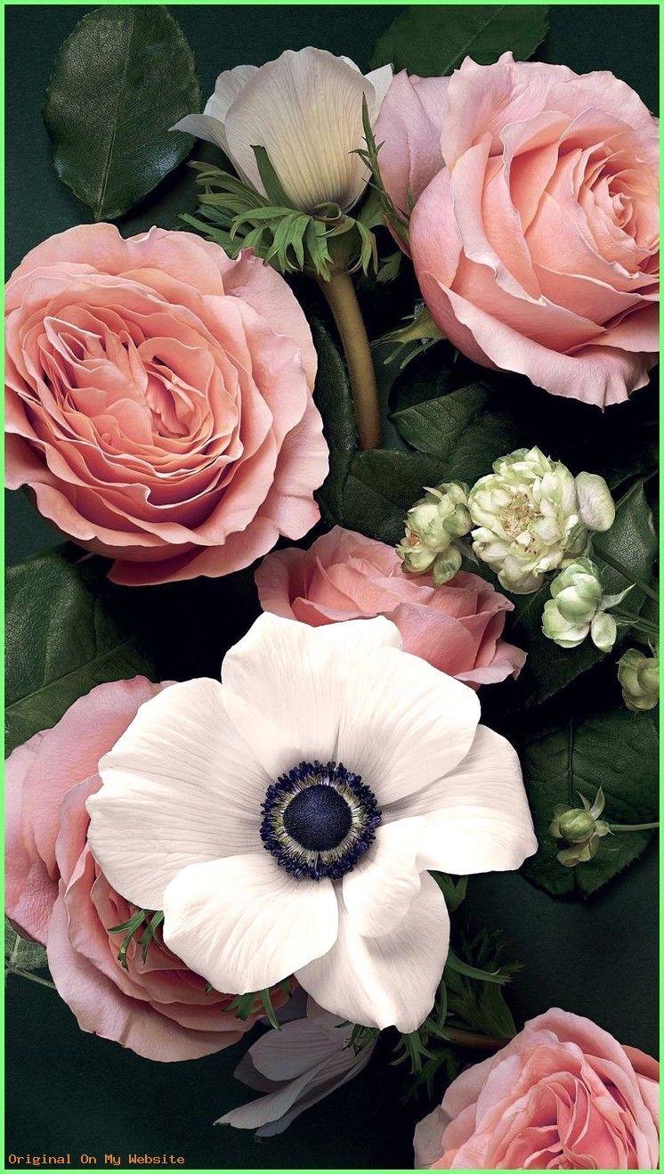 Big Flowers Wallpapers - Top Free Big Flowers Backgrounds - WallpaperAccess