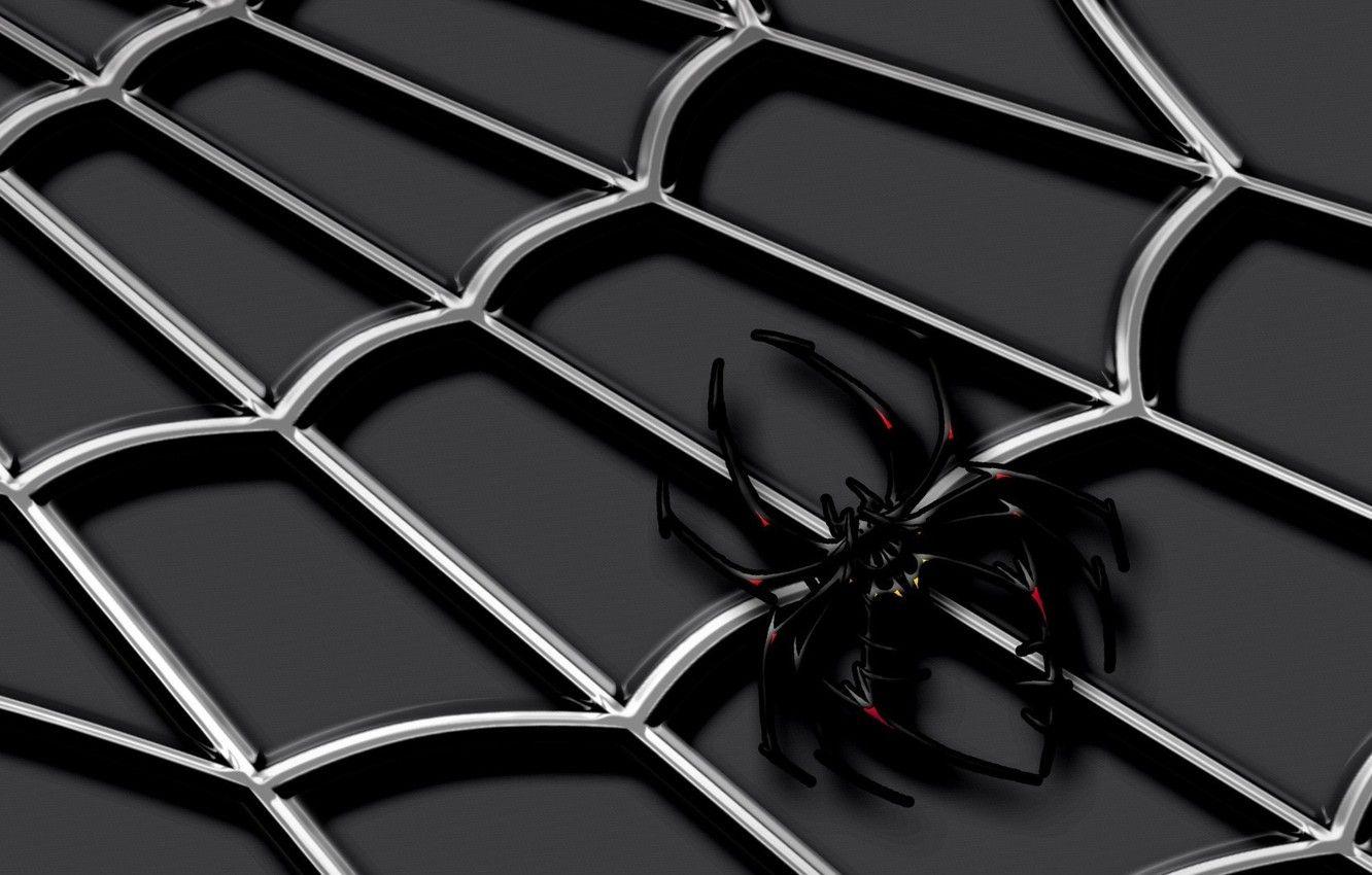 3D Spider Wallpapers - Top Free 3D Spider Backgrounds - WallpaperAccess