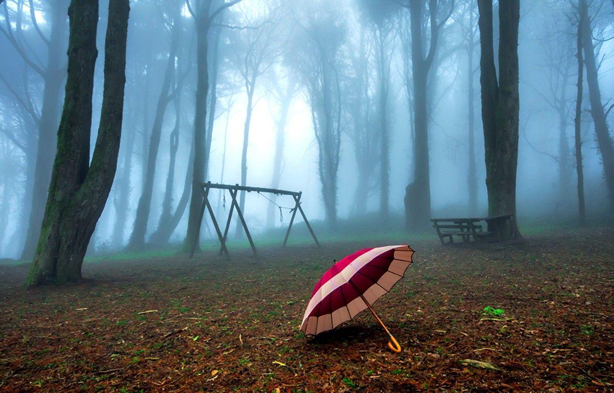 Fall Hunting Wallpapers - Top Free Fall Hunting Backgrounds ...