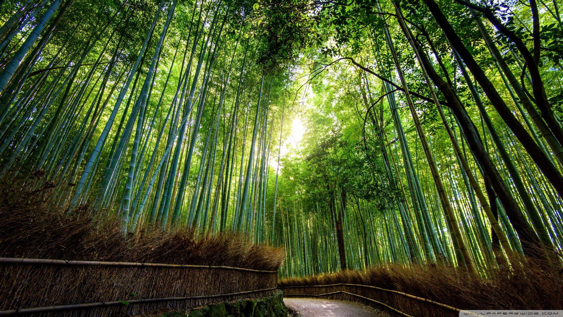 1920X1080 Kyoto Wallpapers - Top Free 1920X1080 Kyoto Backgrounds ...
