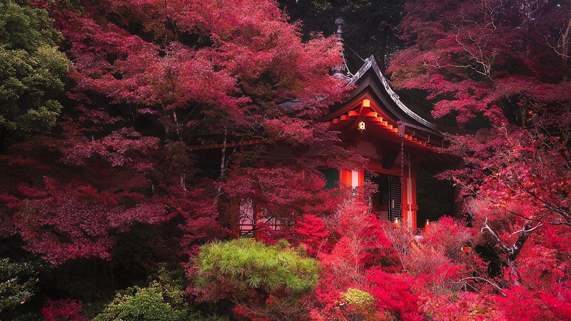 1920X1080 Kyoto Wallpapers - Top Free 1920X1080 Kyoto Backgrounds ...