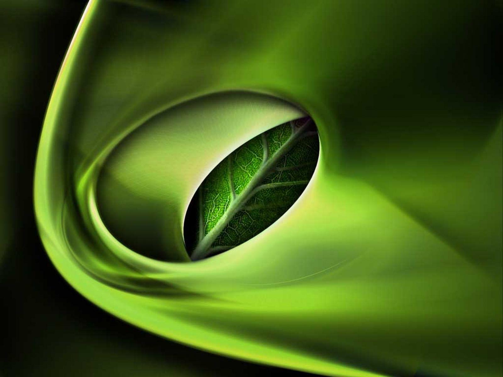 3D Leaf Wallpapers - Top Free 3D Leaf Backgrounds - WallpaperAccess