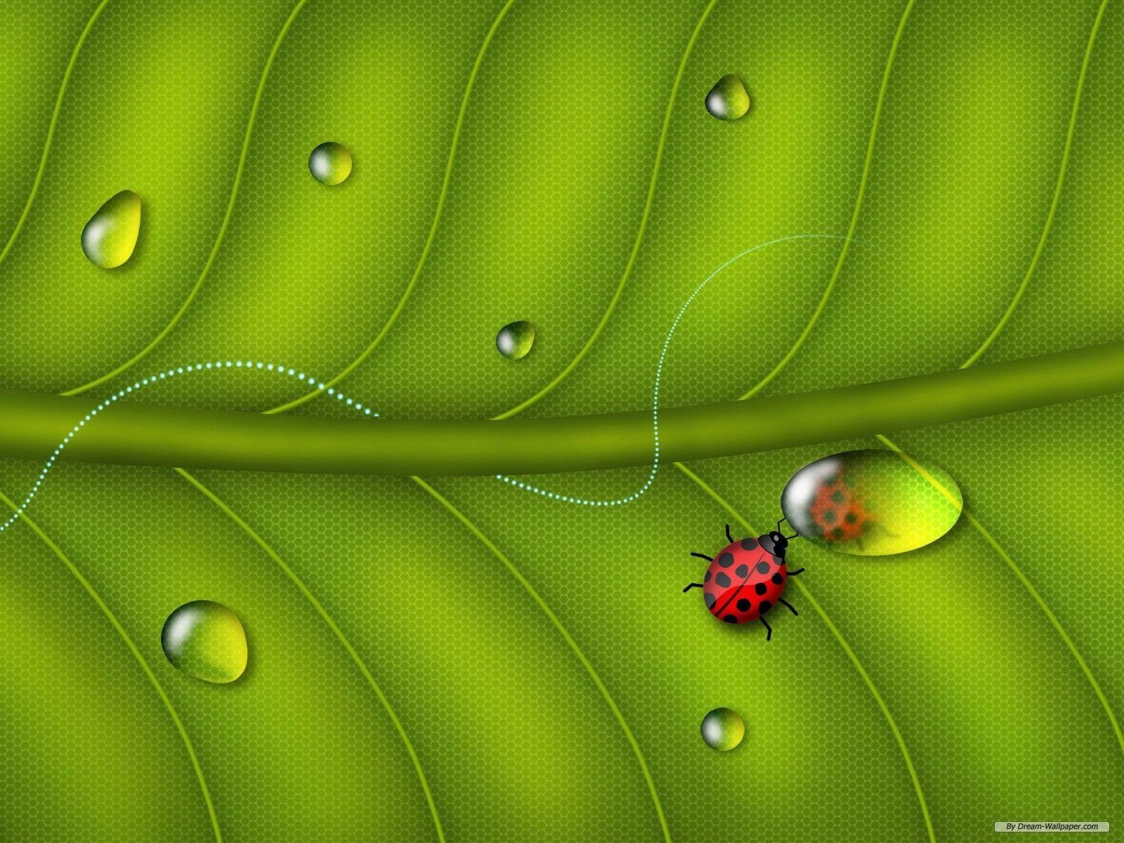 3D Leaf Wallpapers - Top Free 3D Leaf Backgrounds - WallpaperAccess