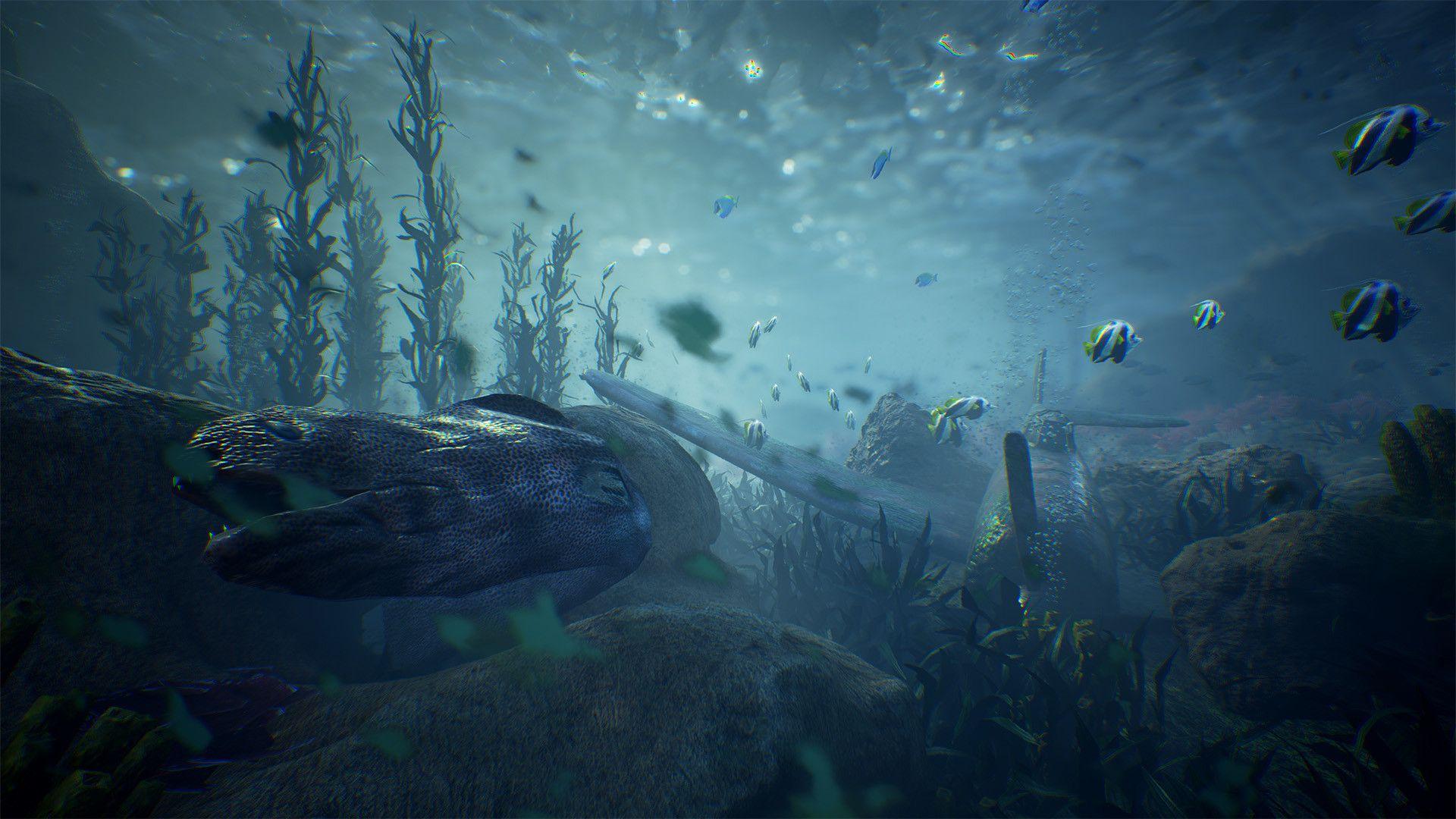 Ocean Floor Wallpapers - Top Free Ocean Floor Backgrounds - WallpaperAccess