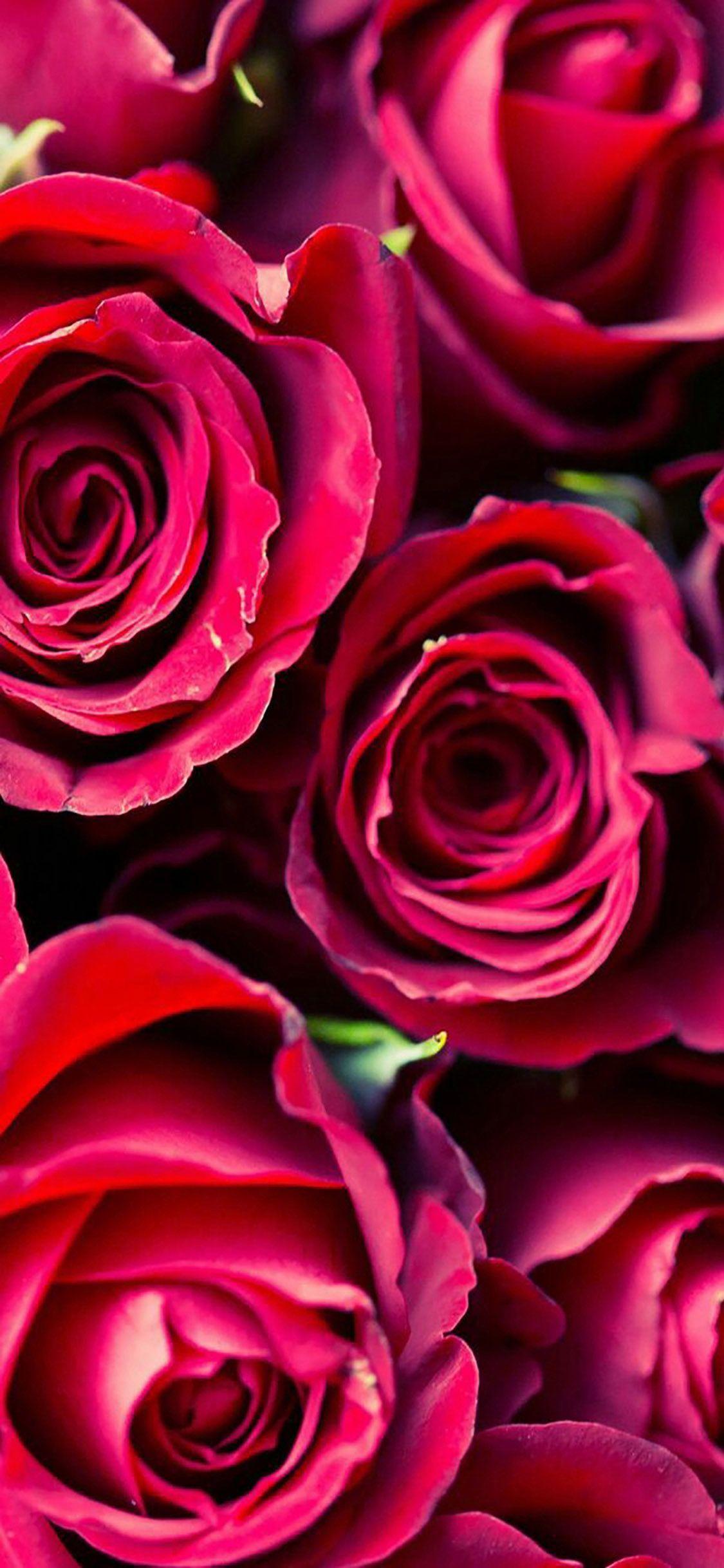 Valentine Day Flower Wallpapers - Top Free Valentine Day Flower ...