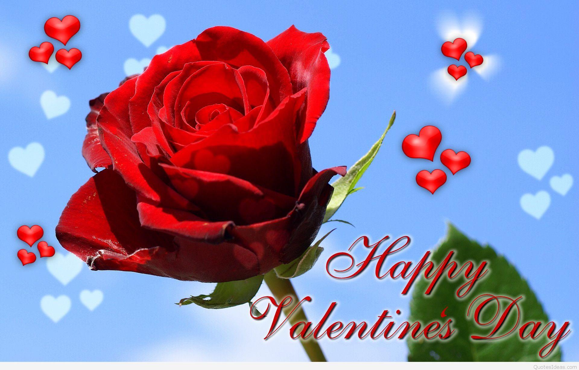 Valentine Day Flower Wallpapers - Top Free Valentine Day Flower ...