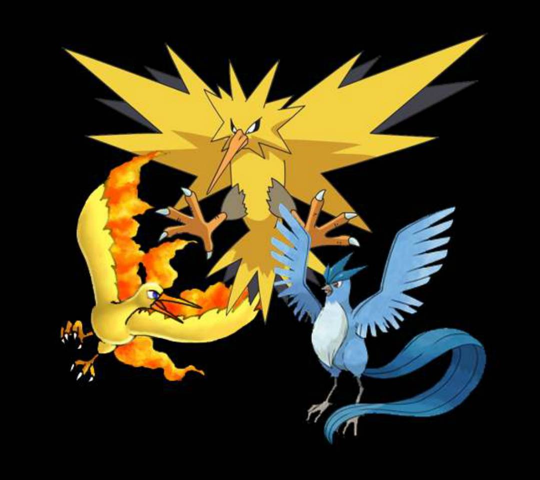 Legendary Birds Wallpapers - Top Free Legendary Birds Backgrounds ...