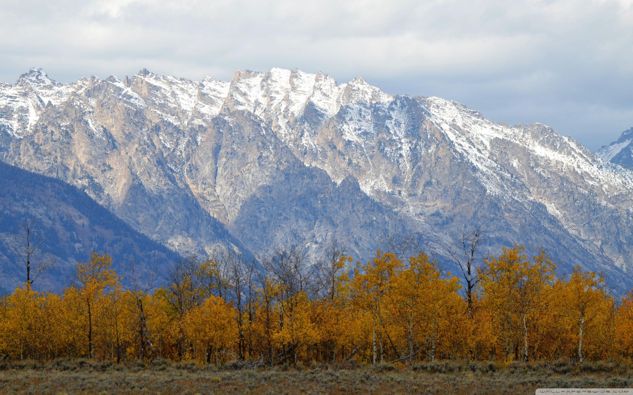 Jackson Hole Wallpapers - Top Free Jackson Hole Backgrounds ...