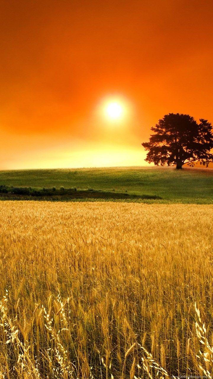 Sunny Day Wallpapers - Top Free Sunny Day Backgrounds - WallpaperAccess
