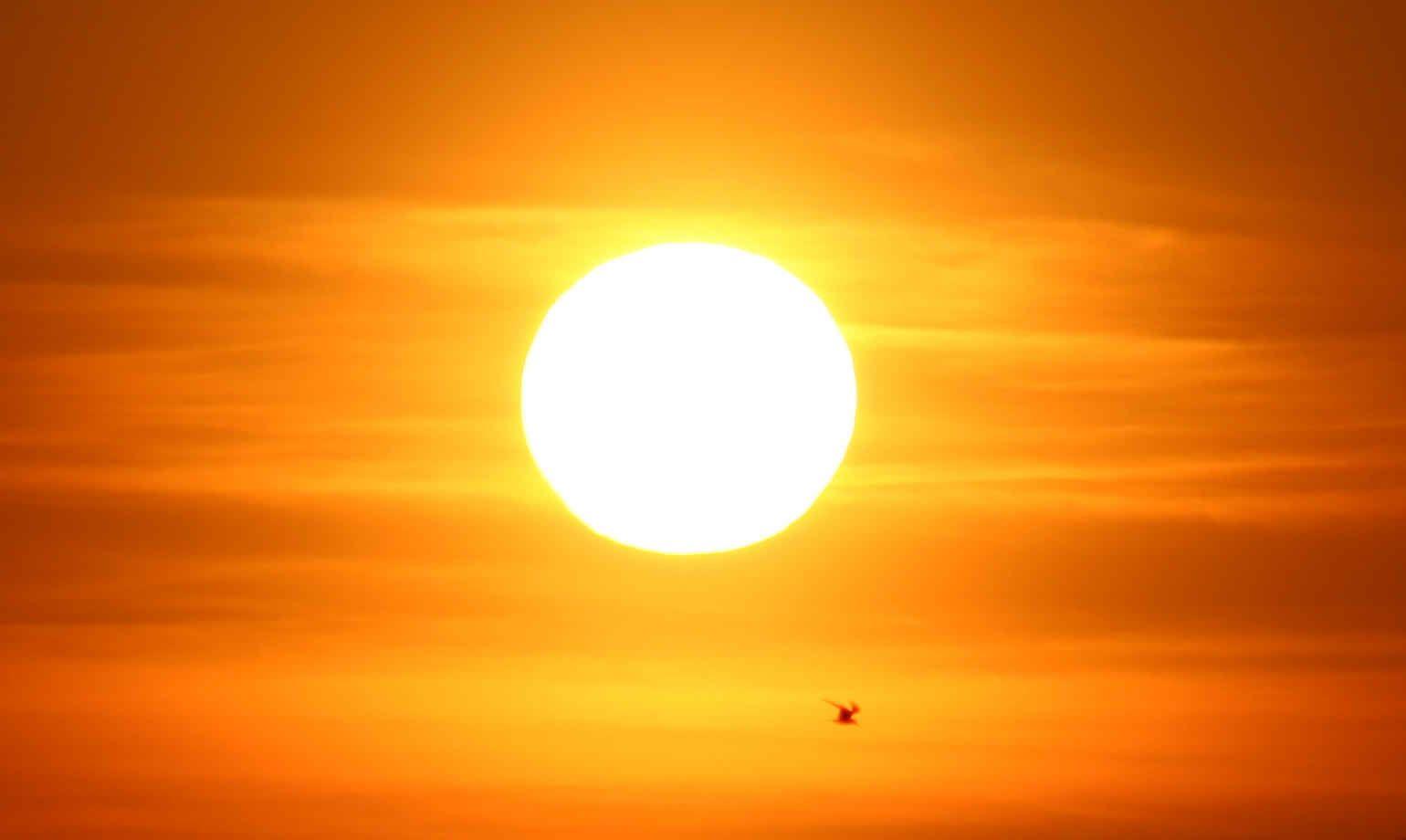 HD Sunlight Wallpapers - Top Free HD Sunlight Backgrounds - WallpaperAccess