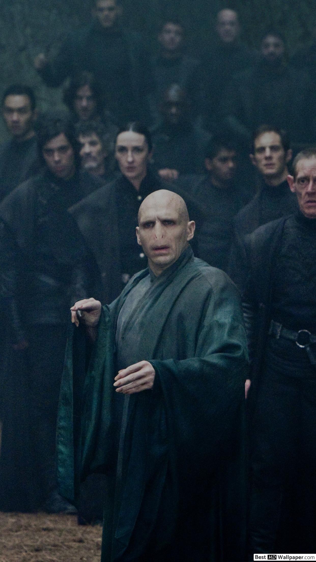 Voldemort HD Wallpapers - Top Free Voldemort HD Backgrounds ...