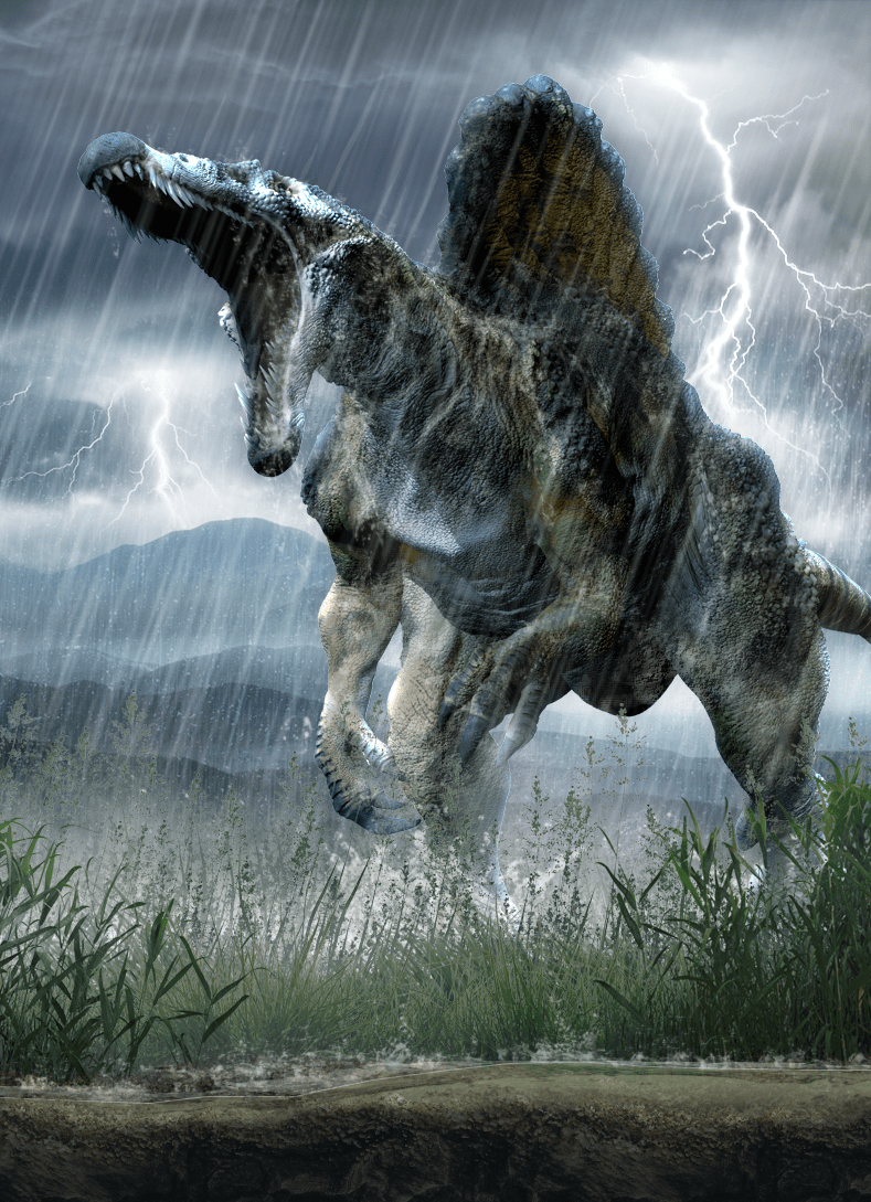 Spinosaurus 4K Wallpapers - Top Free Spinosaurus 4K Backgrounds ...