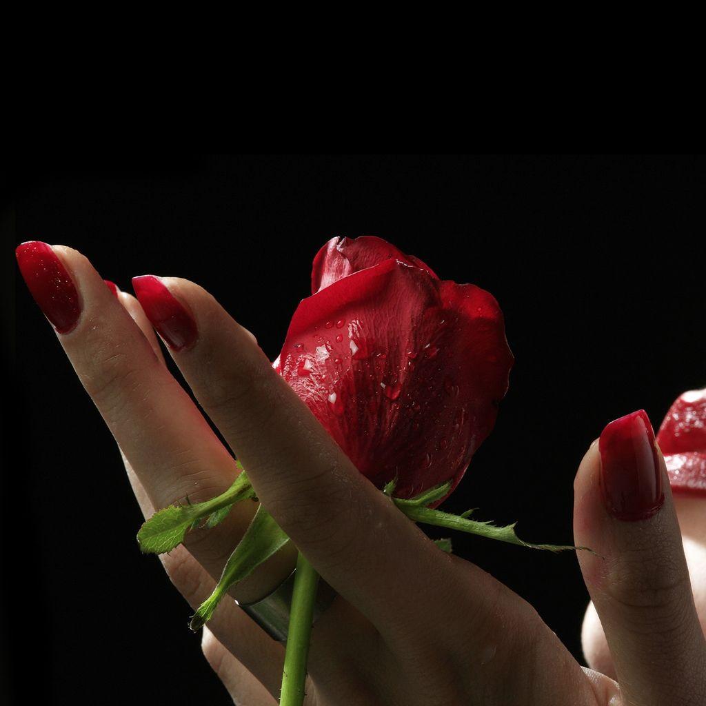 Finger Wallpapers - Top Free Finger Backgrounds - WallpaperAccess