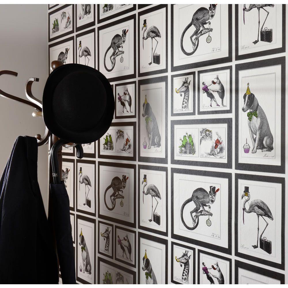 Sunky Wallpapers - Top Free Sunky Backgrounds - WallpaperAccess