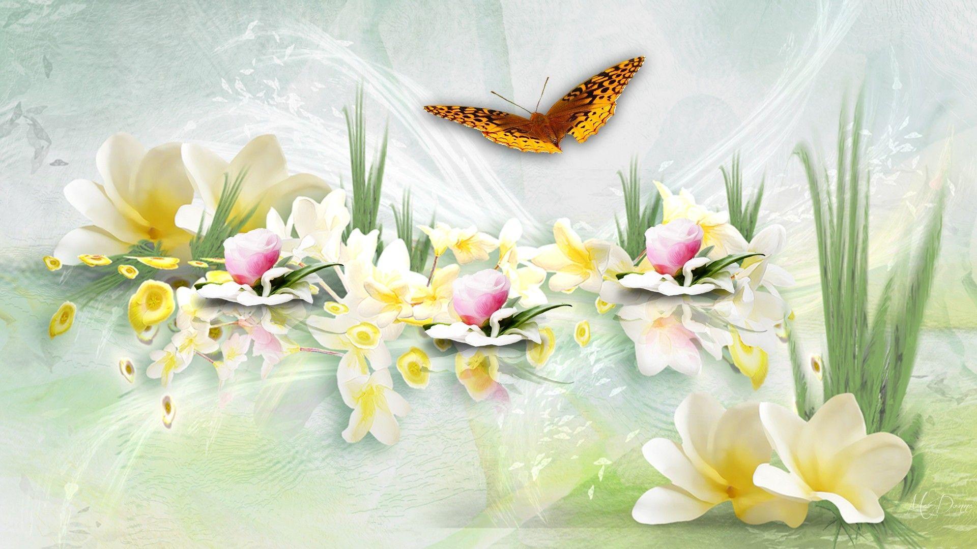 Spring Butterfly Wallpapers - Top Free Spring Butterfly Backgrounds ...
