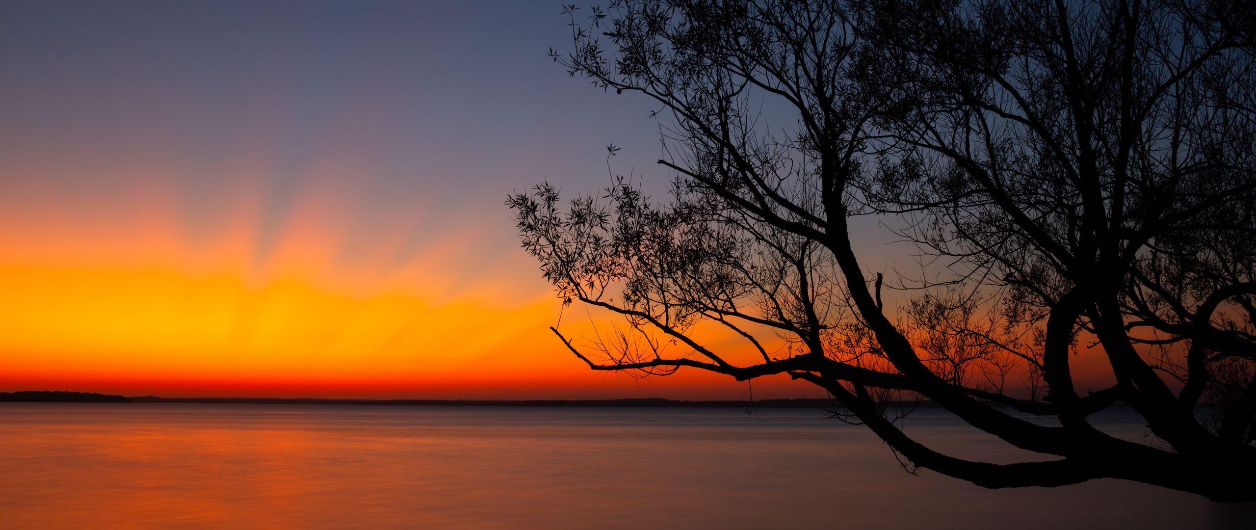 Dark Horizon Wallpapers - Top Free Dark Horizon Backgrounds ...