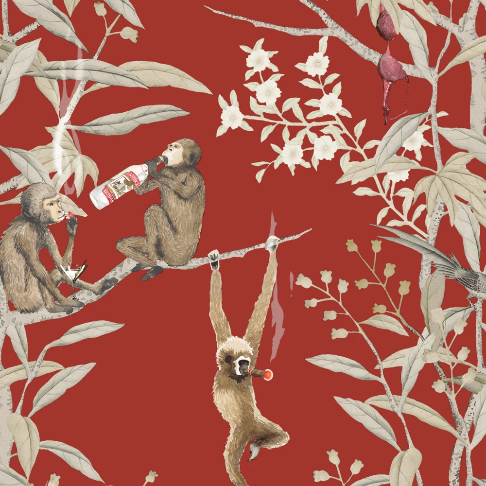 Smoking Monkey Wallpapers - Top Free Smoking Monkey Backgrounds ...