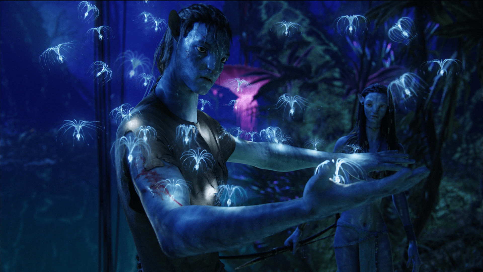 Avatar HD Wallpapers - Top Free Avatar HD Backgrounds - WallpaperAccess