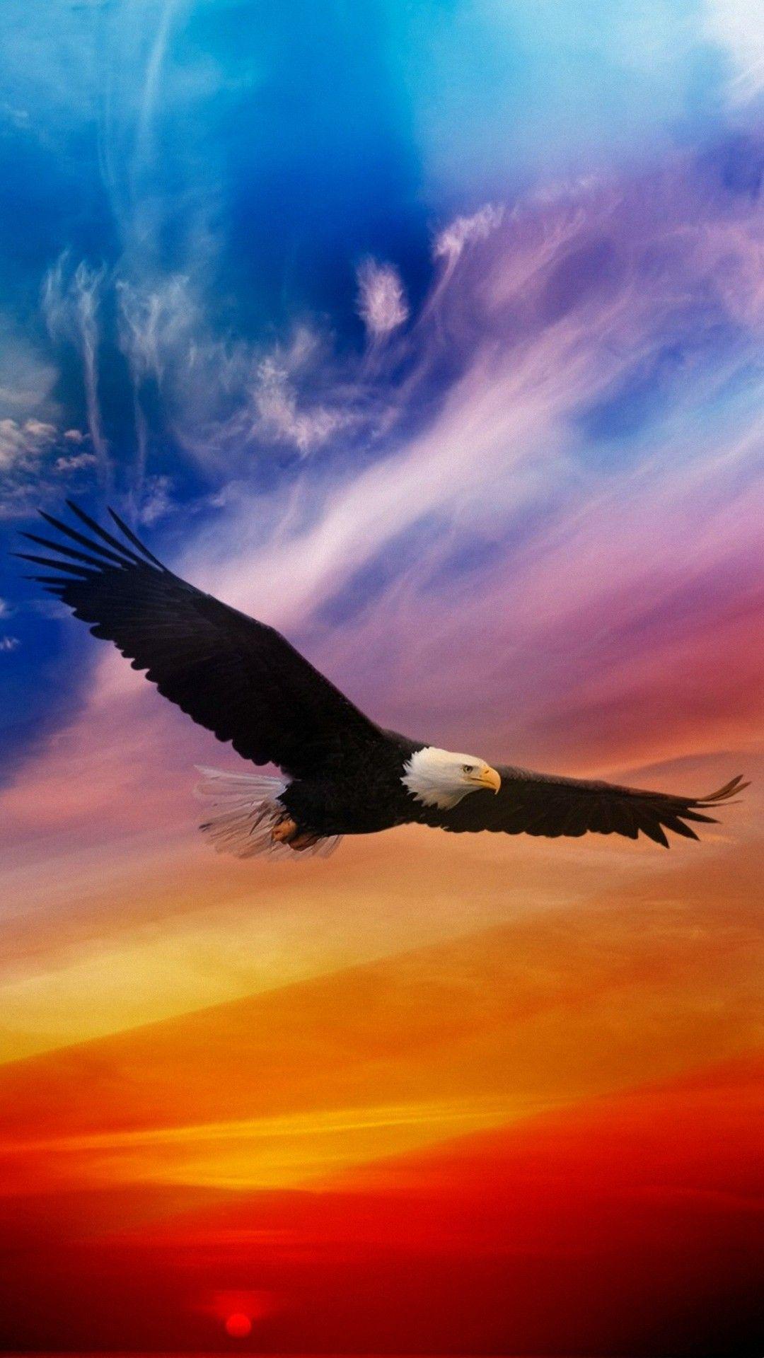 Wolf and Eagle Wallpapers - Top Free Wolf and Eagle Backgrounds ...