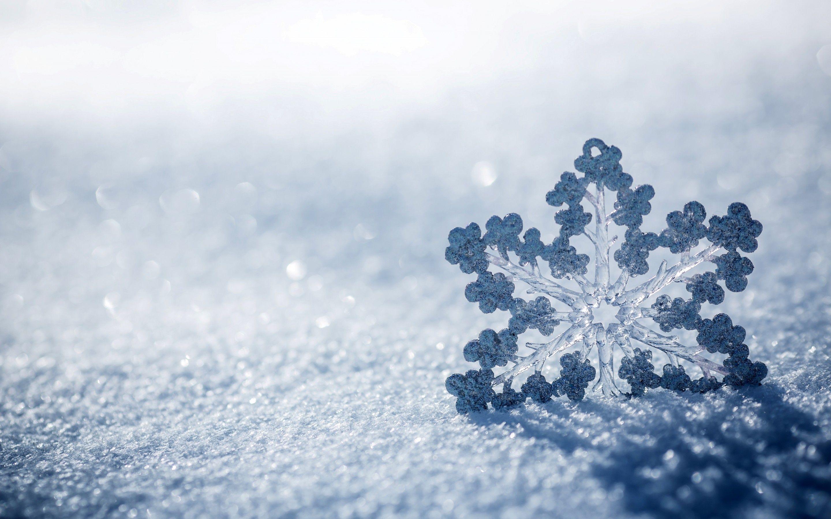 Snow and Ice Wallpapers - Top Free Snow and Ice Backgrounds ...