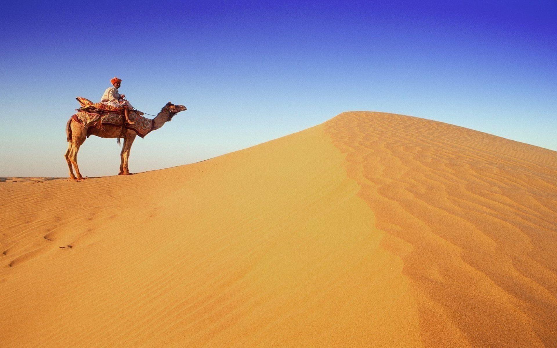 Beautiful Desert Wallpapers Top Free Beautiful Desert Backgrounds Wallpaperaccess