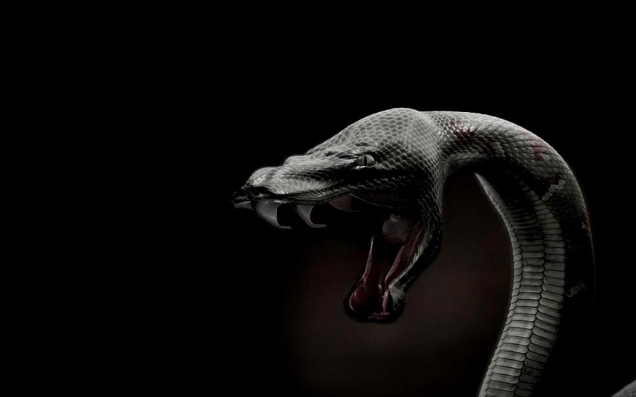 Dark Snake Wallpapers - Top Free Dark Snake Backgrounds - WallpaperAccess