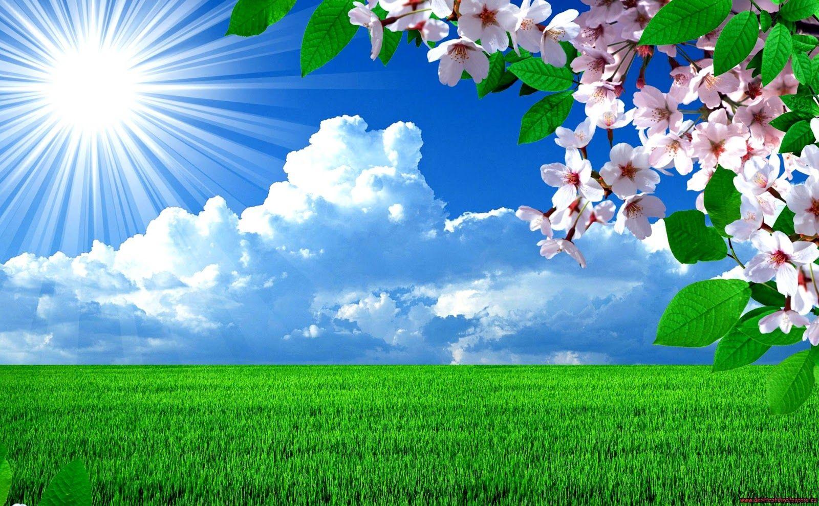 Spring Nature Scenes Wallpapers - Top Free Spring Nature Scenes ...