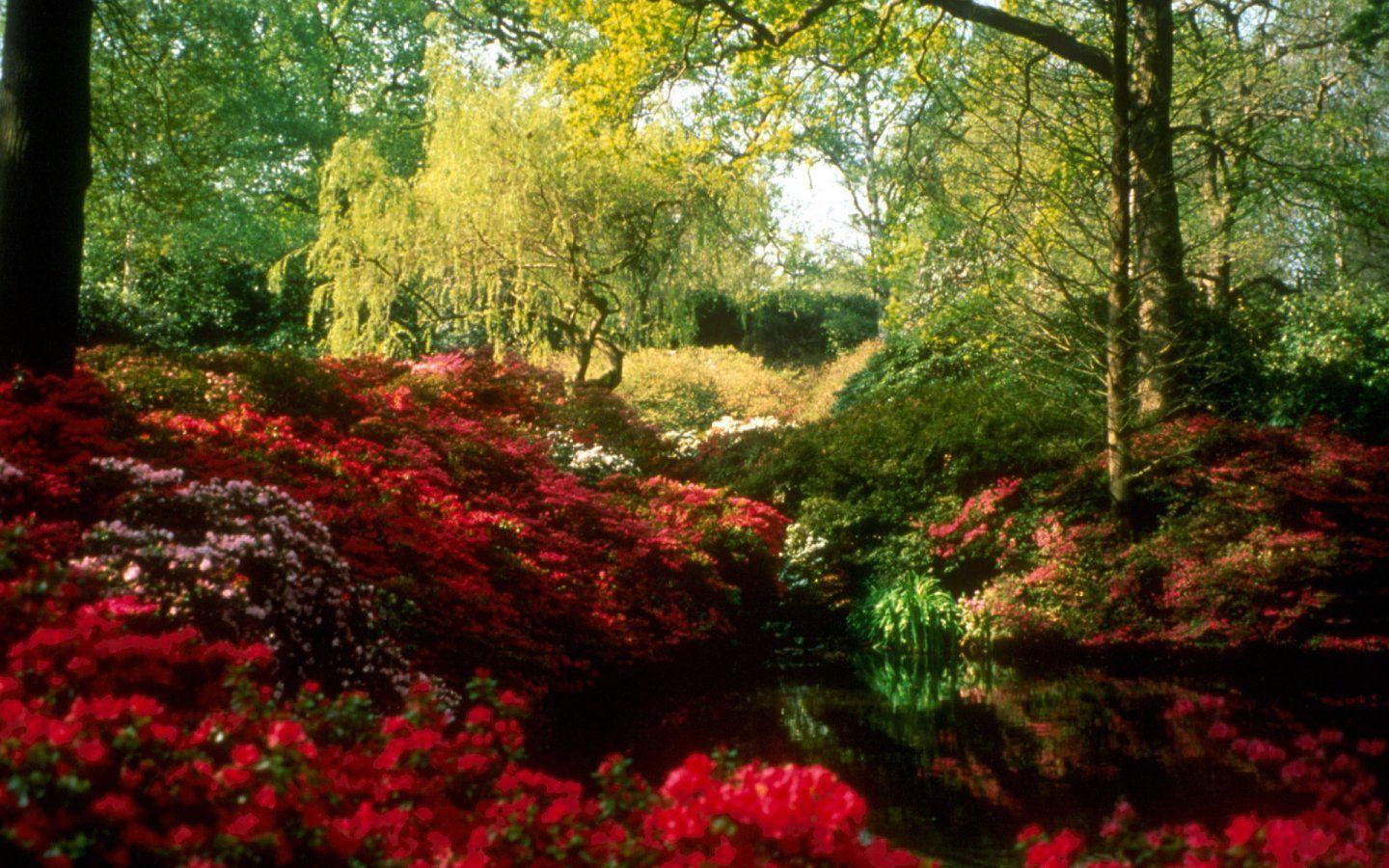 Spring Nature Scenes Wallpapers - Top Free Spring Nature Scenes ...