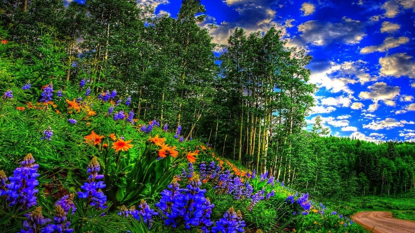 Spring Nature Scenes Wallpapers - Top Free Spring Nature Scenes ...